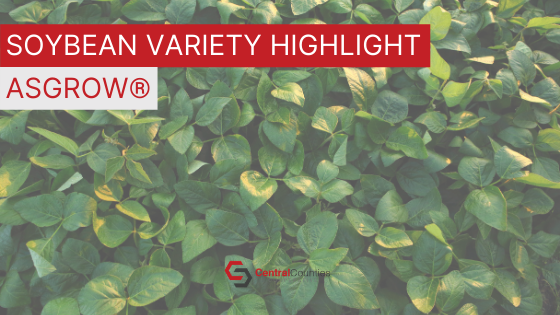 Soybean Variety Highlight: Asgrow® - Central Counties Co-op