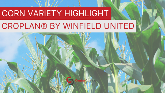 Corn Variety Highlight: CROPLAN® by WinField United - Central Counties ...