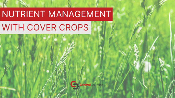 Nutrient Management With Cover Crops - Central Counties Co-op