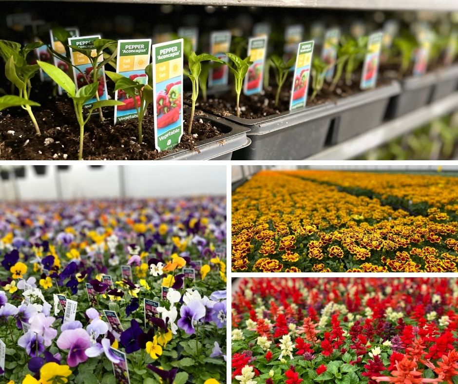 Country Stores - Country Visions Cooperative