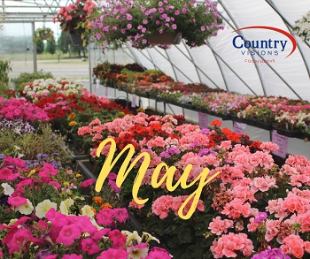 Home - Country Visions Cooperative