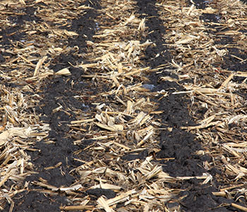 4/30/2021 - Glacial Plains Cooperative-Murdock