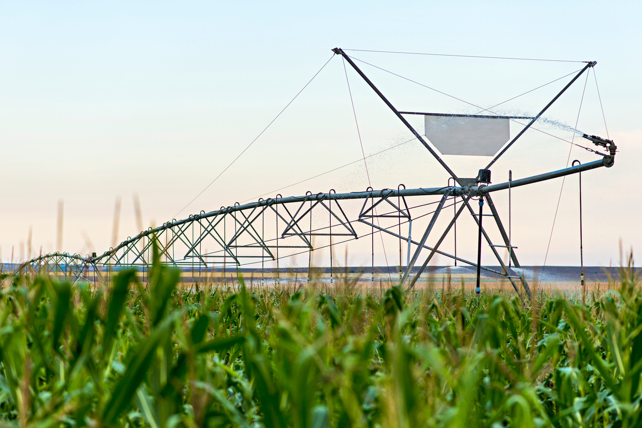 GreenPoint AG : News & Markets - GreenPoint Ag