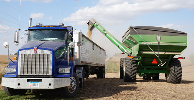 Grain Marketing Options - Key Cooperative