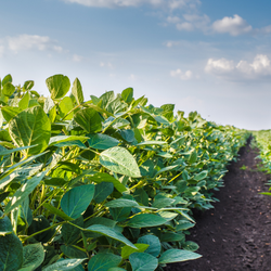Your Trusted Agricultural Retailer for Agronomy, Energy, Feed and Grain ...