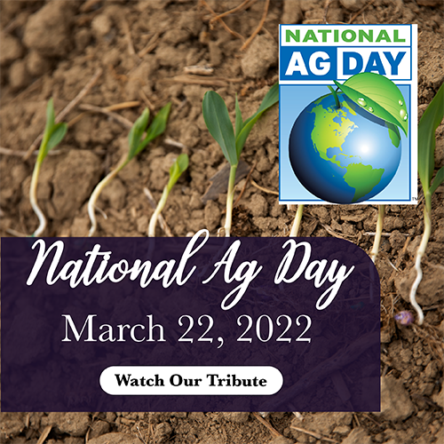 Agronomy | Energy | Feed | Grain | Precision | Farmer-owned | Sunrise ...