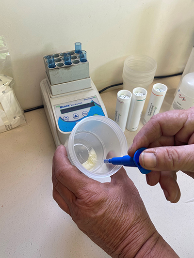 Corn Testing Process at the Dale Feed Mill - Superior Ag