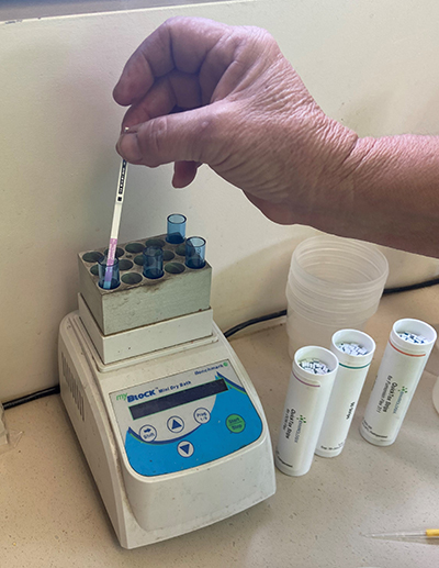 Corn Testing Process at the Dale Feed Mill - Superior Ag